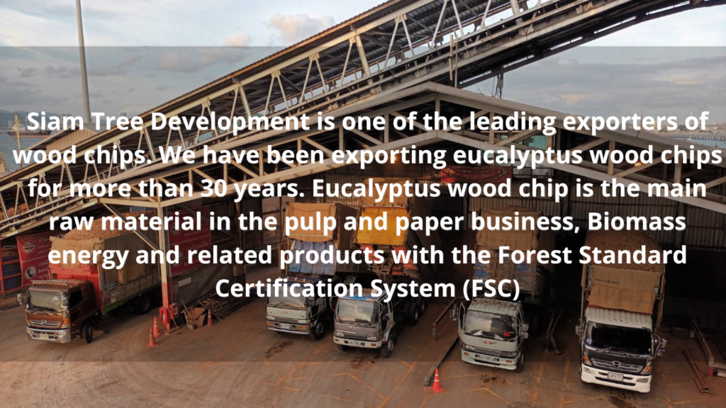 Siamtree – บริษัท สยามทรีดีเวลลอปเม้นต์ จำกัด